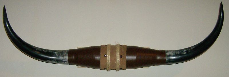 horns | www.longhorns.com.au