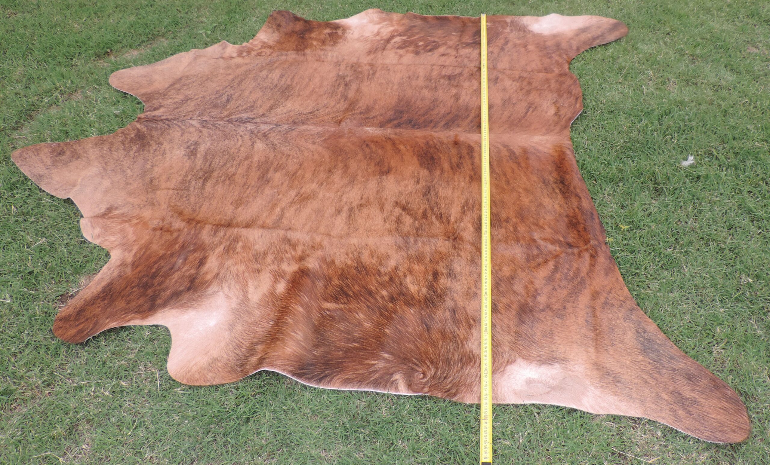 Hides For Sale | www.longhorns.com.au