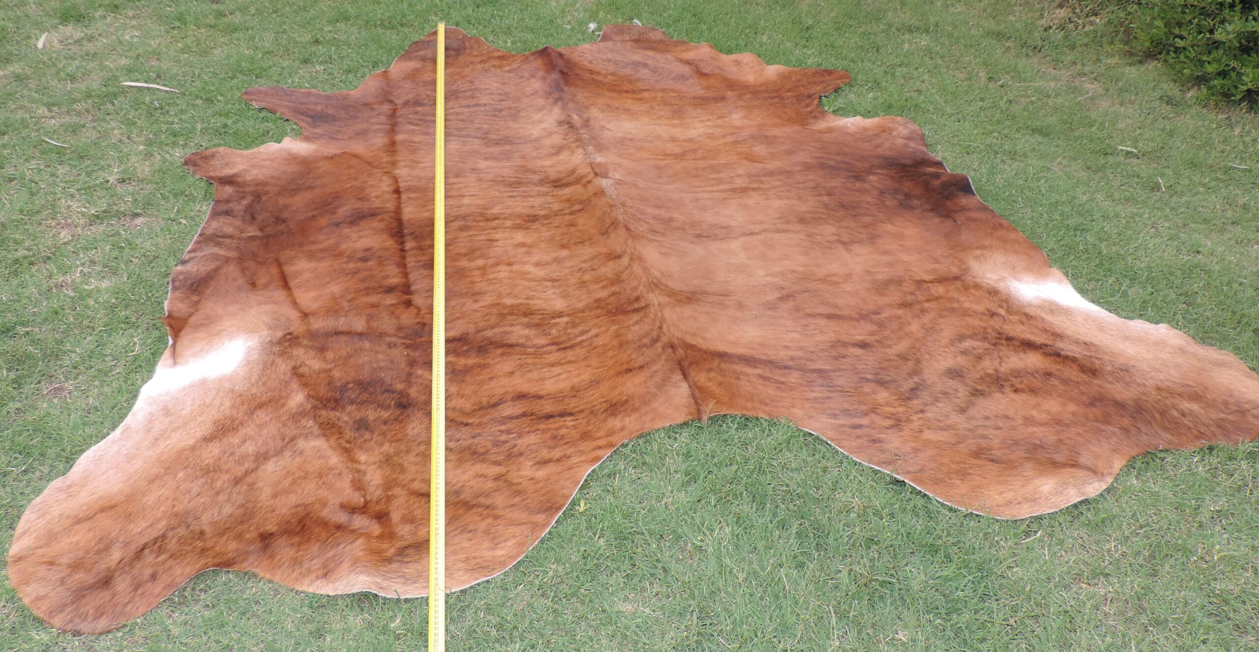 Hides For Sale | www.longhorns.com.au