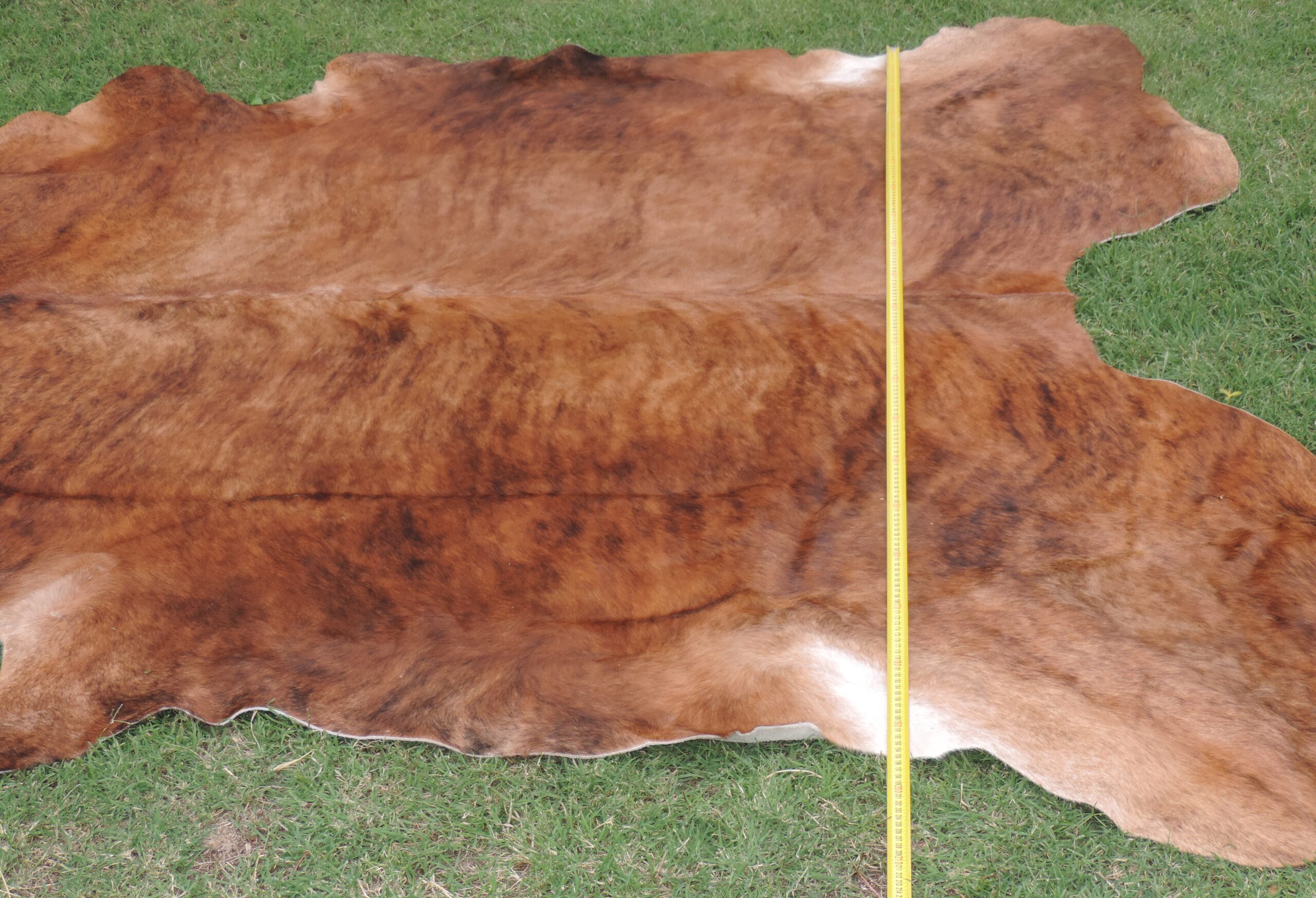 Hides For Sale | www.longhorns.com.au